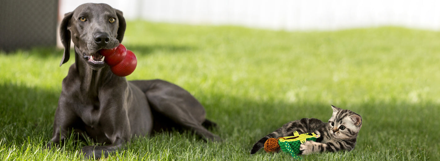 Pet Perks – Happy Pet Perks